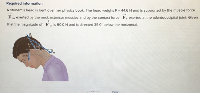 Solved Required information A student's head is bent over | Chegg.com