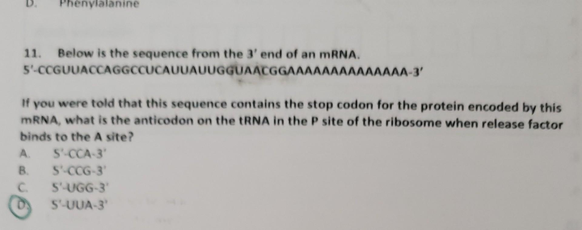 Solved Below is a sequence from the 3 prime end of an | Chegg.com