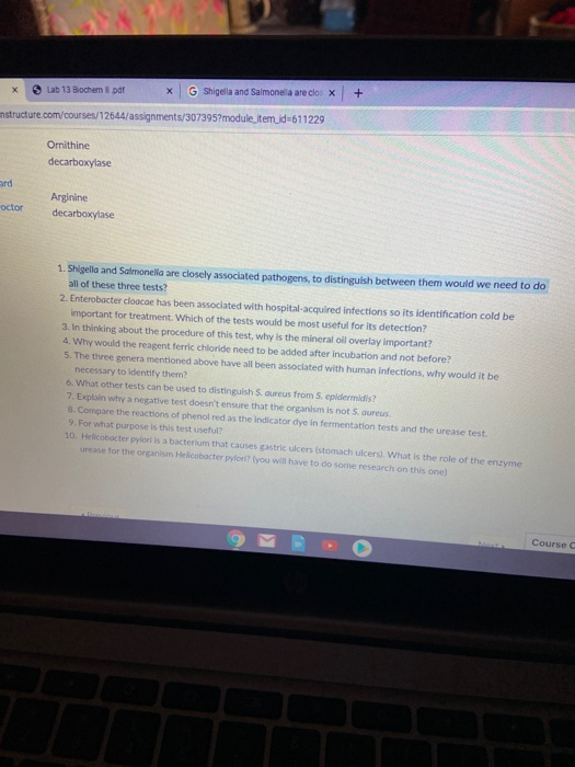 Solved x > Lab 13 Biochem paf X G Shigella and Salmonella | Chegg.com