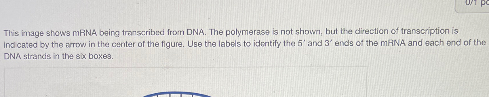 Solved This image shows mRNA being transcribed from DNA. The | Chegg.com