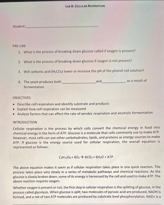 Solved LAB 8: CELUULAR Respiration Student: PRE-LAB: 1. What | Chegg.com