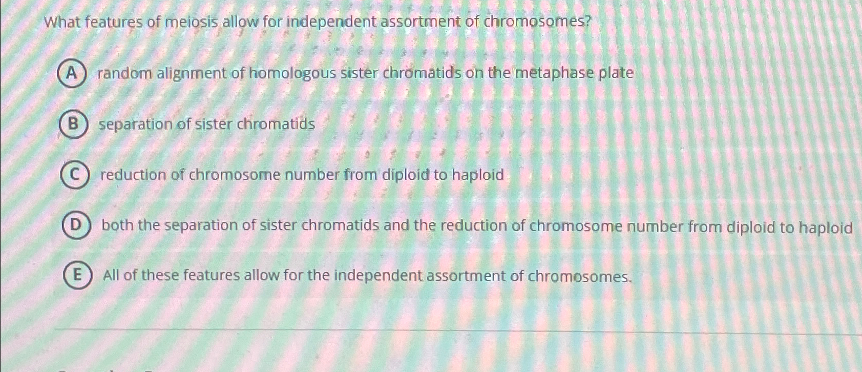 Solved What features of meiosis allow for independent | Chegg.com