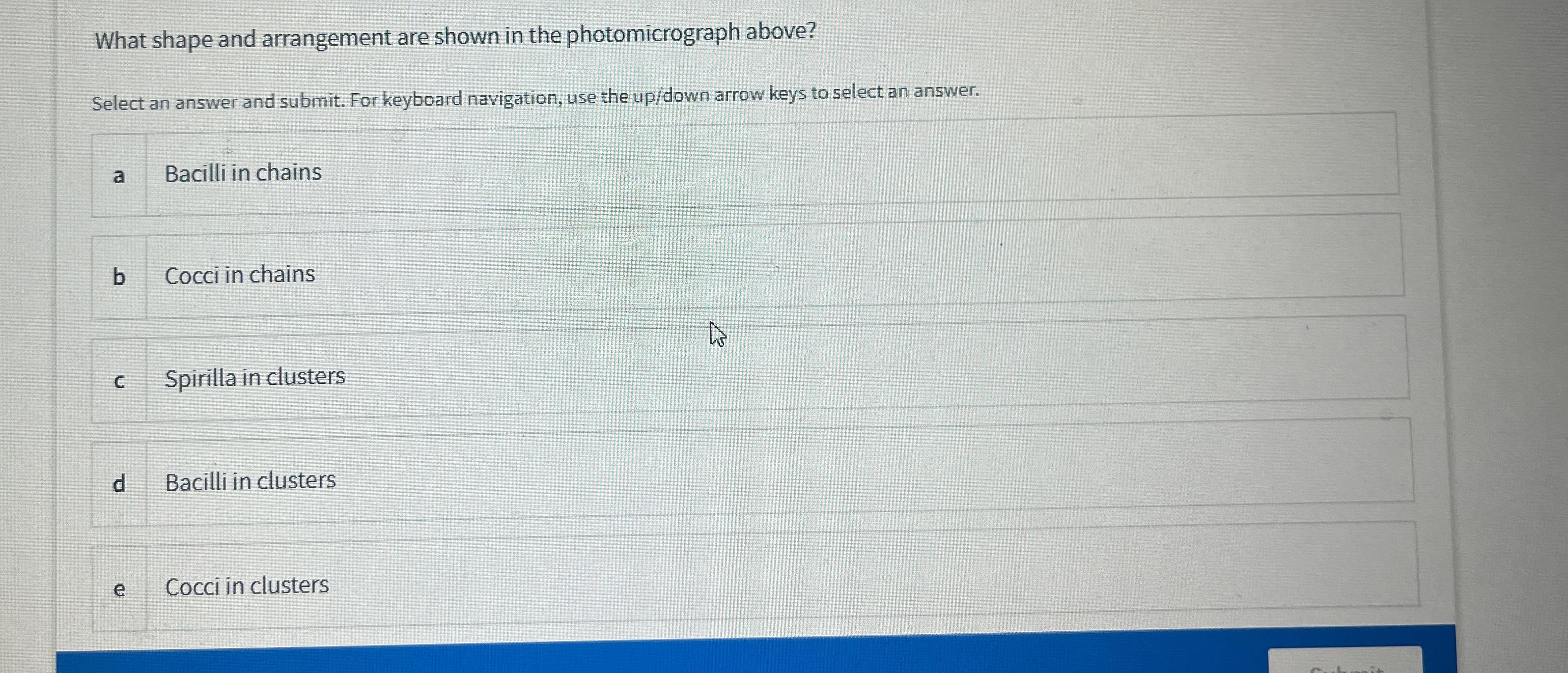 Solved What shape and arrangement are shown in the | Chegg.com