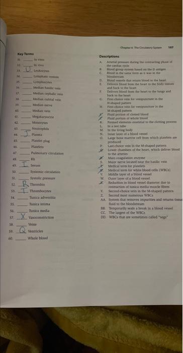 chapter 6-1: key terms and descriptions- questions | Chegg.com
