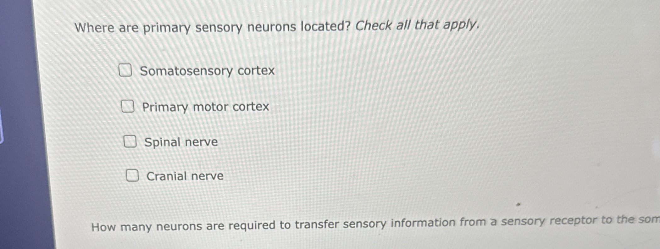 Solved Where are primary sensory neurons located? Check all | Chegg.com