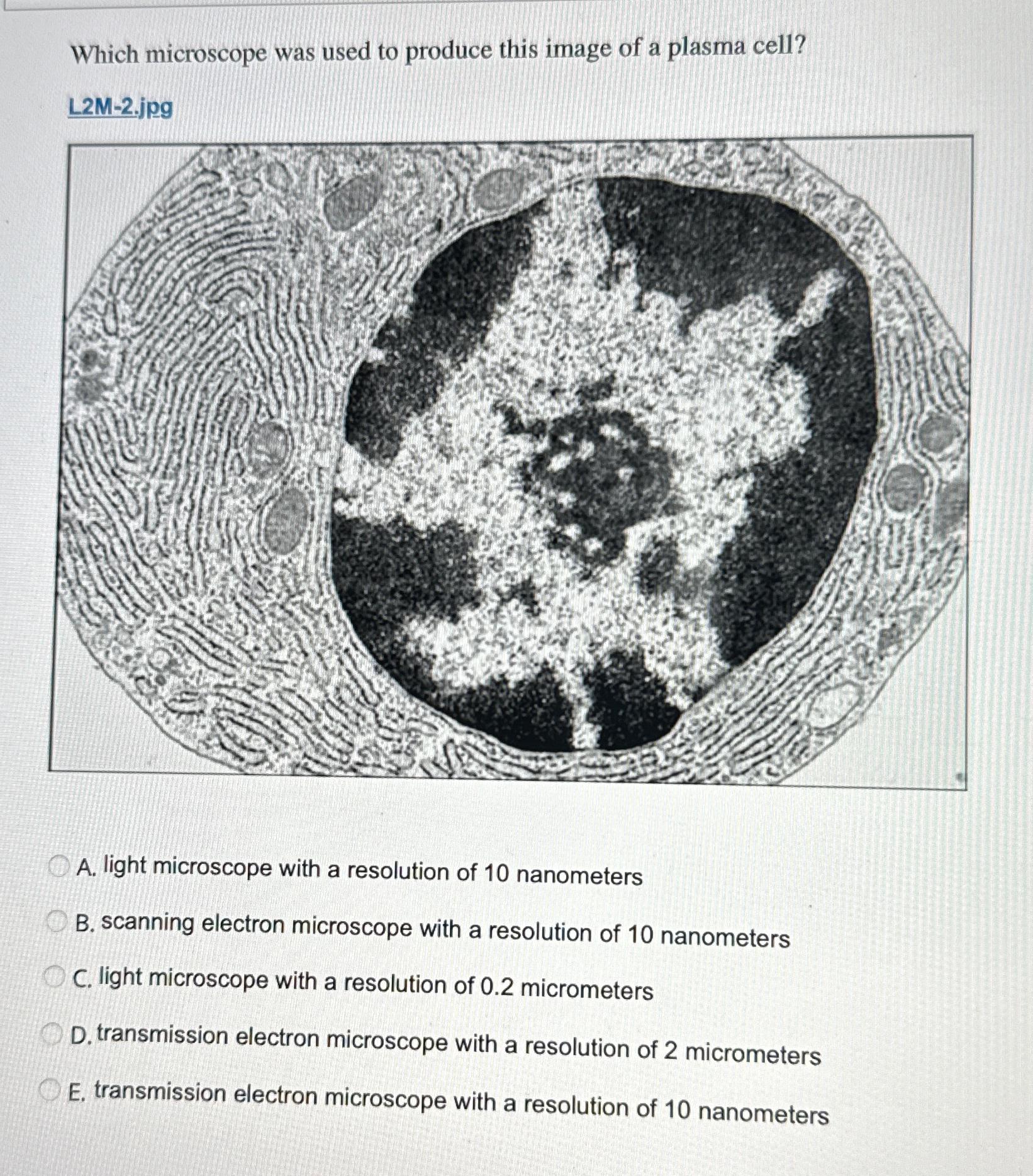 Solved Which microscope was used to produce this image of a | Chegg.com
