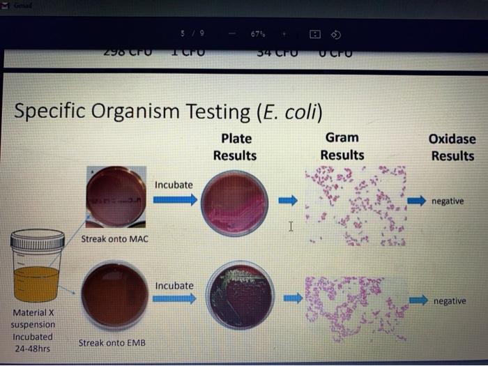Sample Preparation 10 mL Material x I Material X 90 | Chegg.com