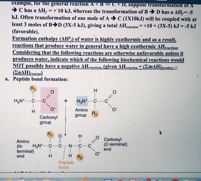 Solved Carbonic anhydrase (CA) is an enzyme that catalyzes | Chegg.com