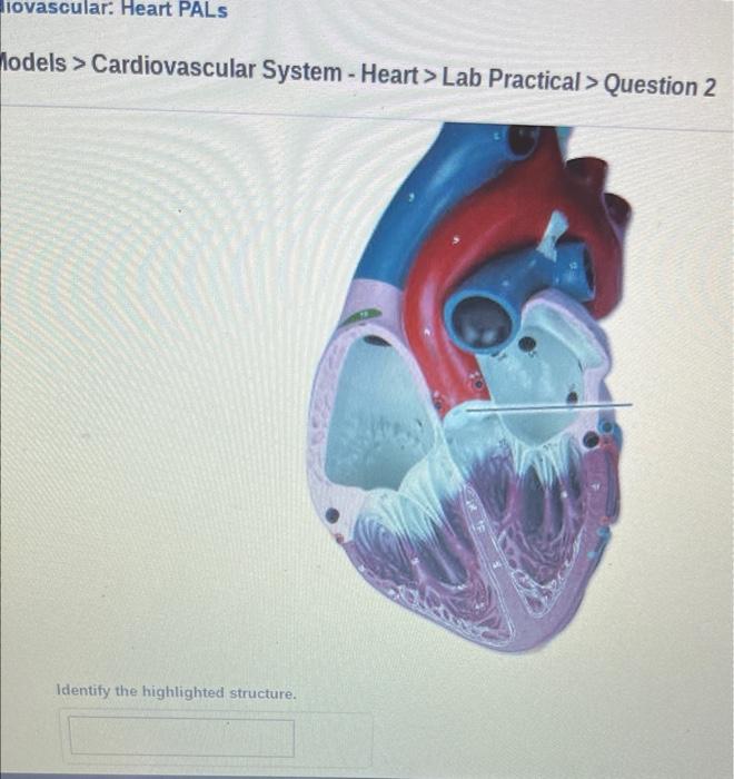 Iovascular: Heart PALs lodels > Cardiovascular System | Chegg.com