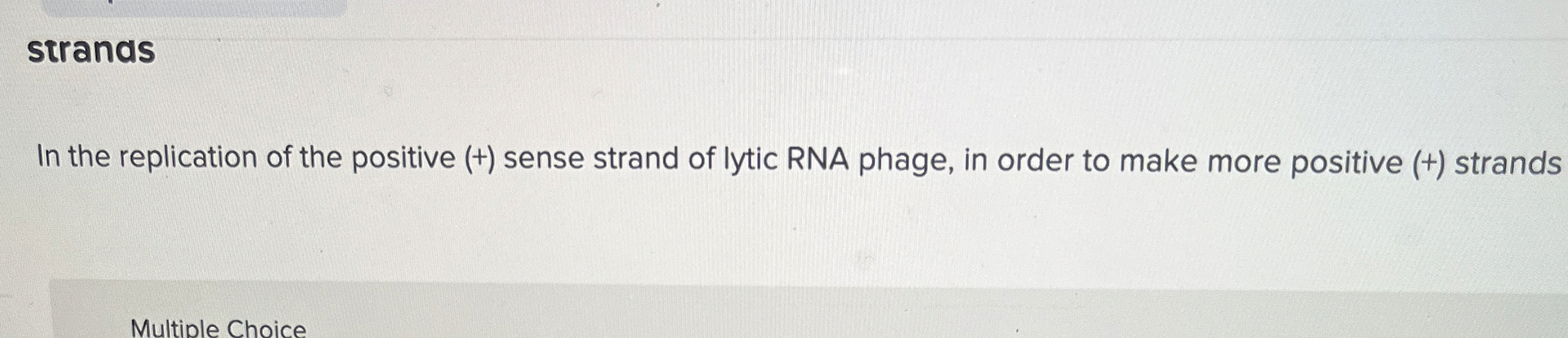 Solved strandsIn the replication of the positive (+) ﻿sense | Chegg.com