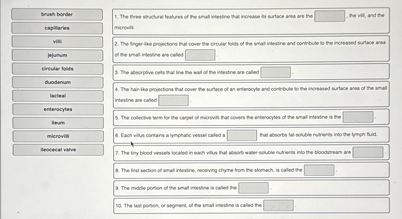 Solved \table[[brush border,1. ﻿The three structural | Chegg.com