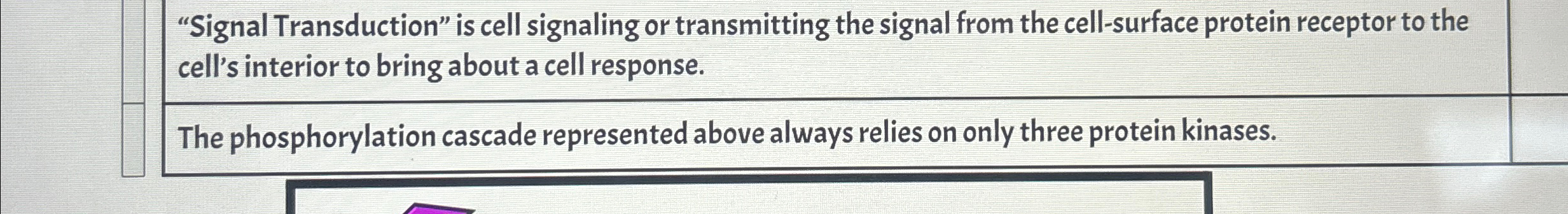 Solved True or false "Signal Transduction" is cell signaling | Chegg.com