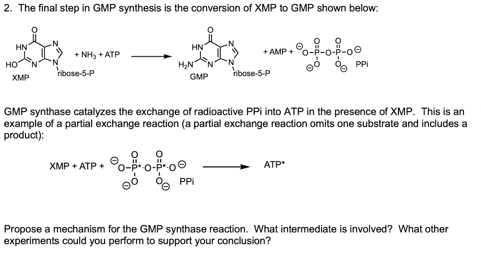 Solved The final step in GMP synthesis is the conversion of | Chegg.com