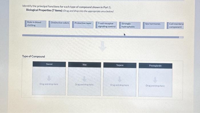 Solved Classify each of the structures according to the | Chegg.com
