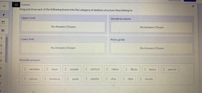 12 points Drag and drop each of the following bones | Chegg.com