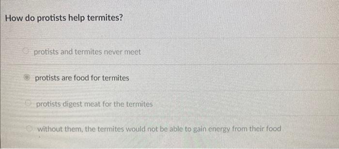 Solved How do protists help termites? protists and termites | Chegg.com