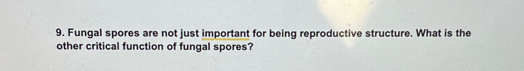 Solved Fungal spores are not just important for being | Chegg.com