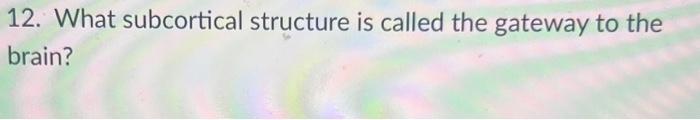 Solved 12. What subcortical structure is called the gateway | Chegg.com