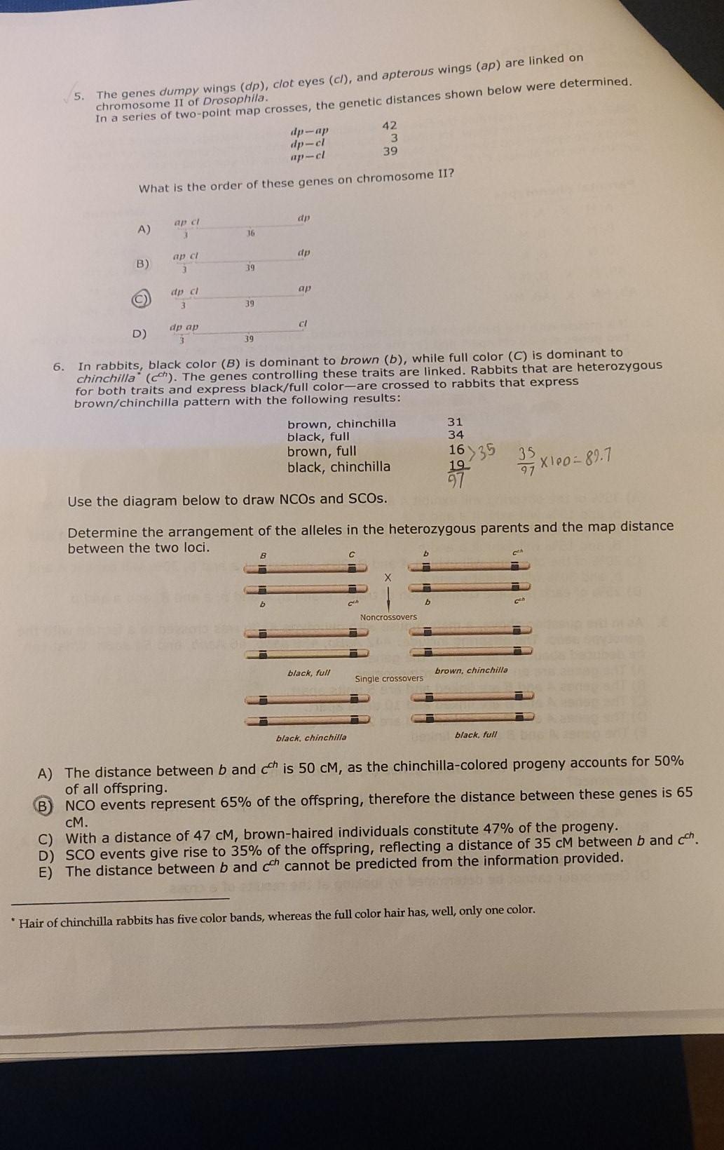 Solved The genes dumpy wings (dp), clot eyes (cl), and | Chegg.com