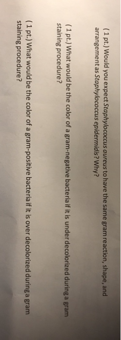 Solved (1 pt.) Would you expect Staphylococcus aureus to | Chegg.com