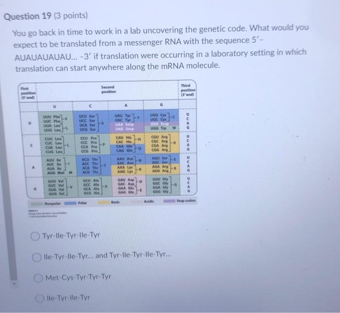 Solved Question 17 (3 points) The primary RNA transcript | Chegg.com