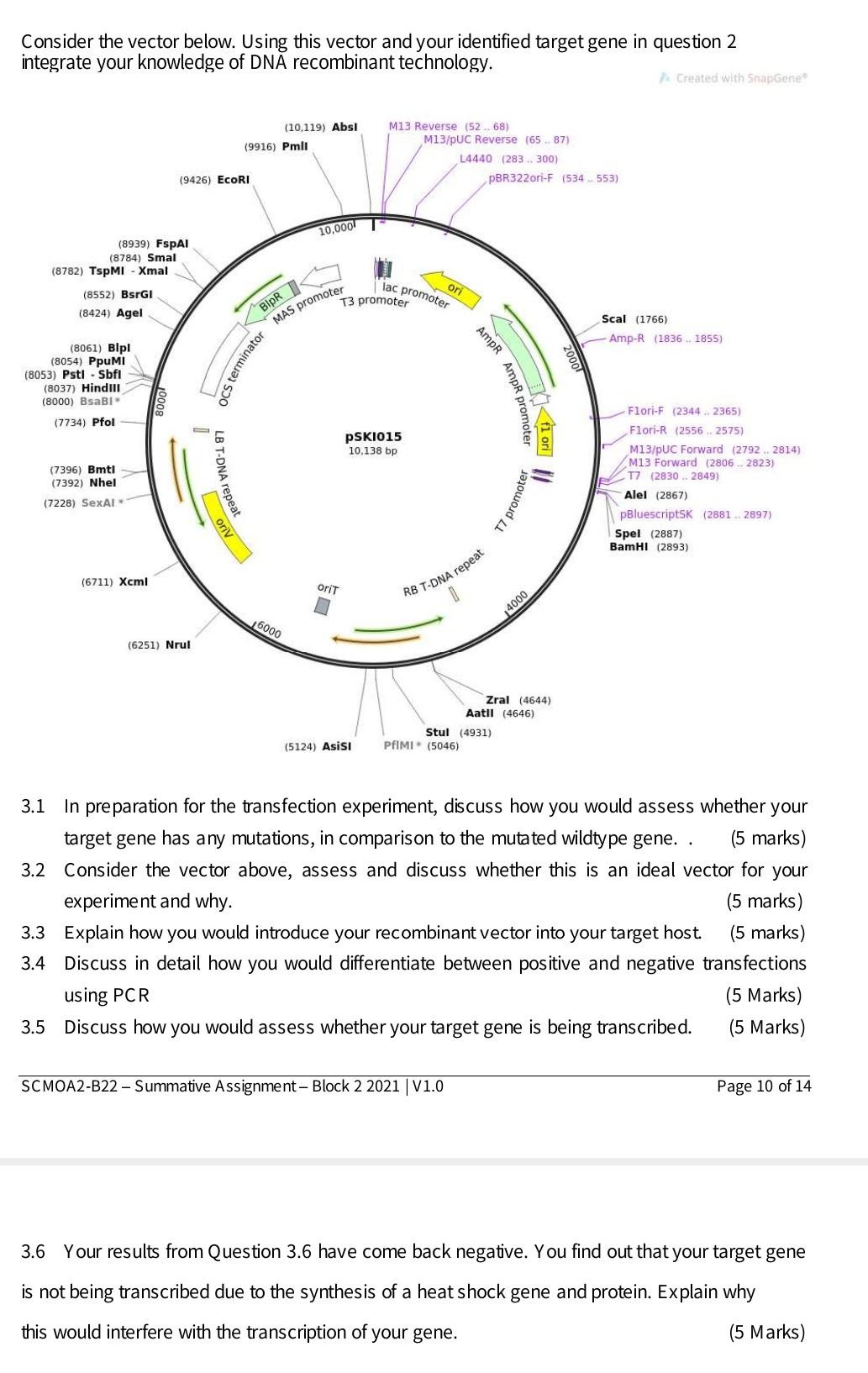 Consider the vector below. Using this vector and your | Chegg.com
