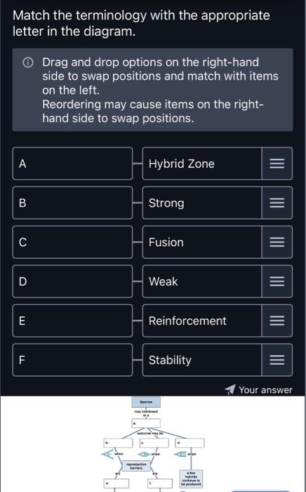 Solved Match the terminology with the appropriate letter | Chegg.com