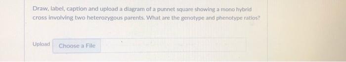 Solved Draw, label, caption and upload a diagram of a punnet | Chegg.com