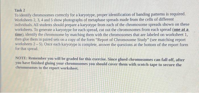 Solved Worksheet 1 Karyotype of a normal human maleTask 2 To | Chegg.com