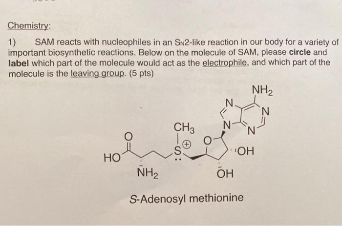 Solved Chemistry: 1) SAM reacts with nucleophiles in an | Chegg.com