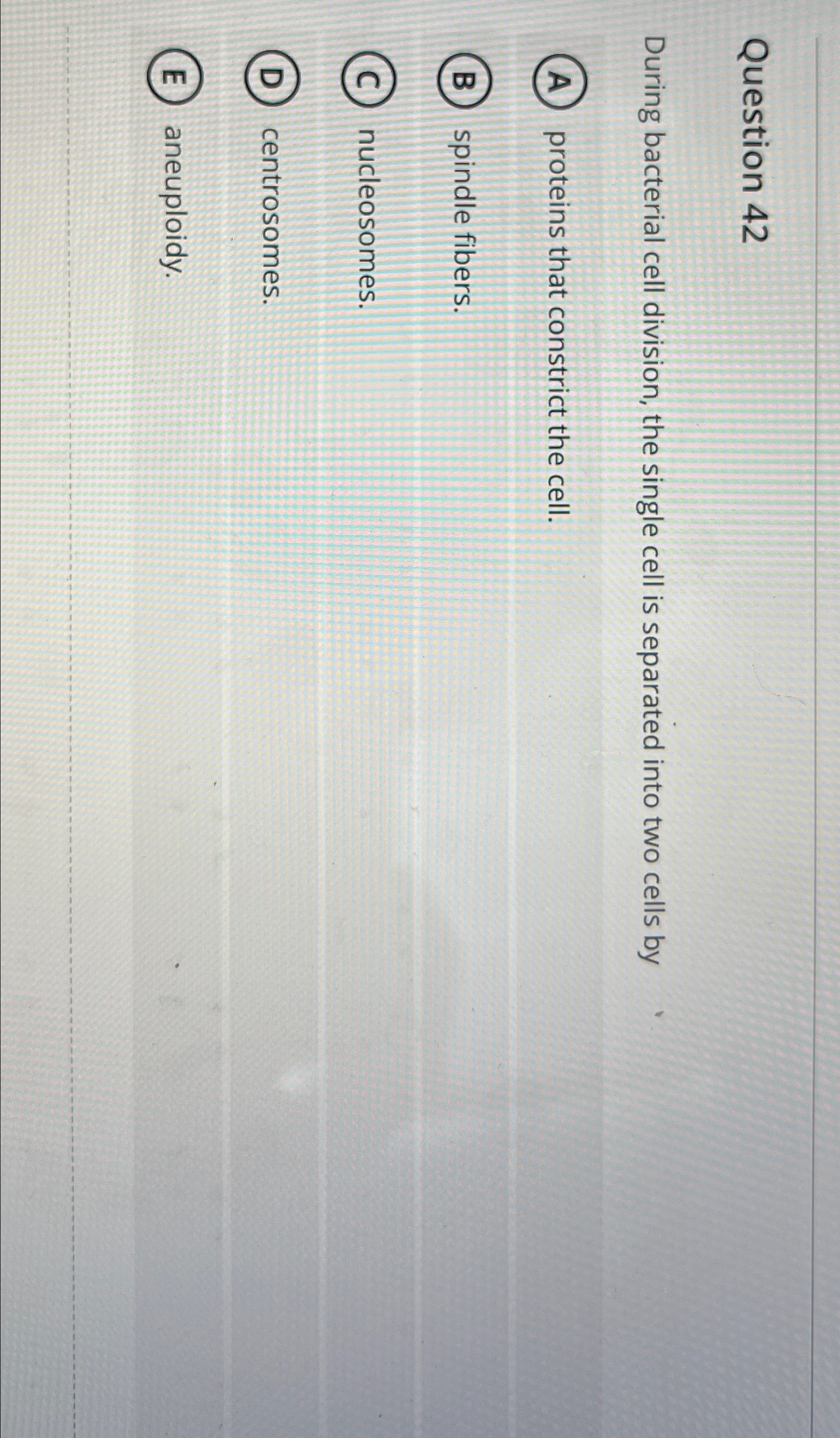 Solved Question 42During bacterial cell division, the single | Chegg.com