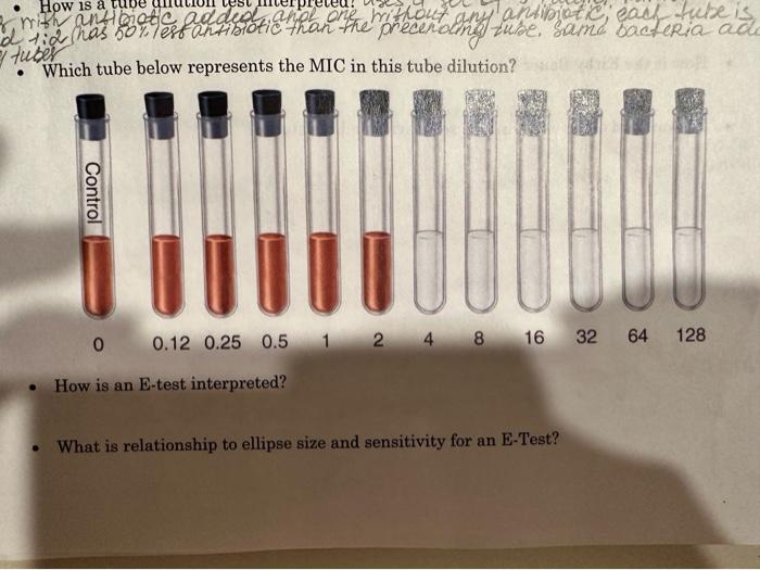 Solved Which tube below represents the MIC in this tube | Chegg.com