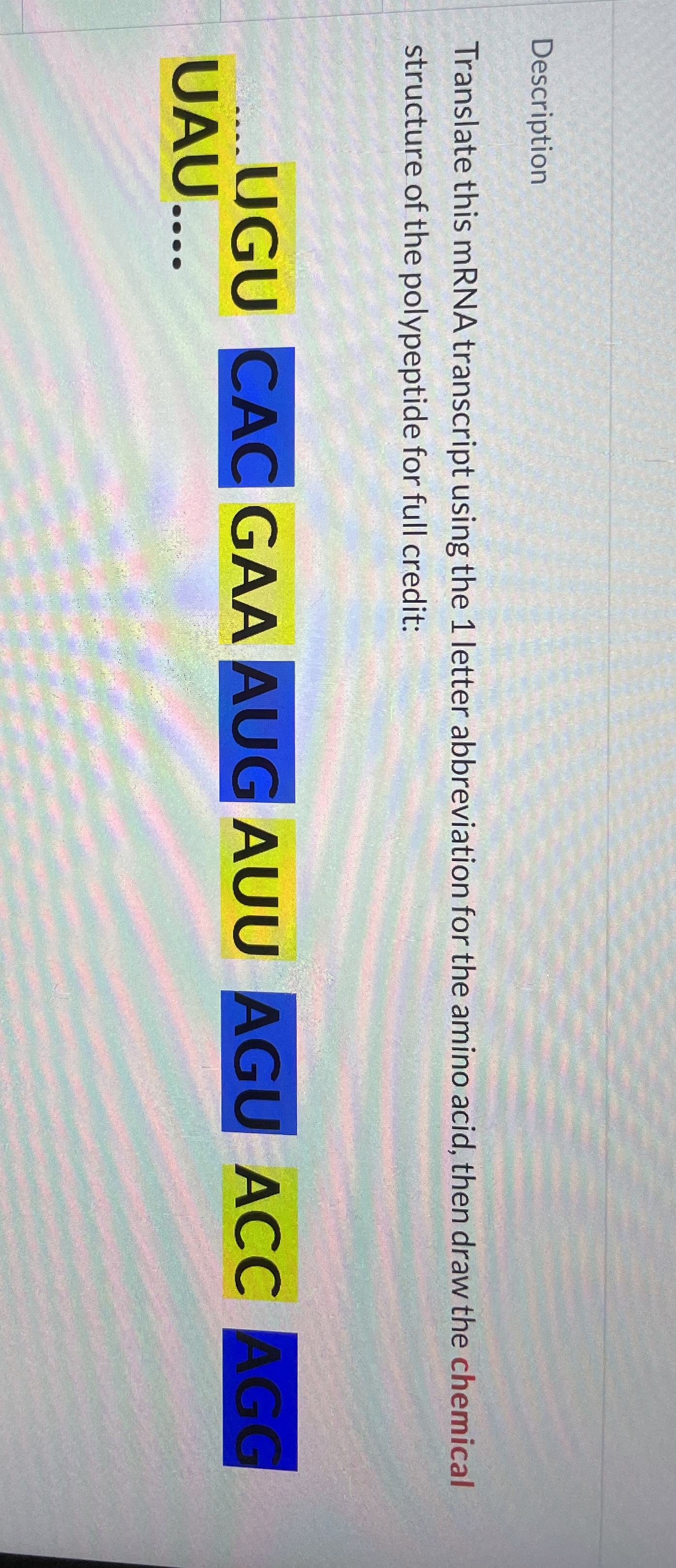 Solved DescriptionTranslate this mRNA transcript using the 1 | Chegg.com
