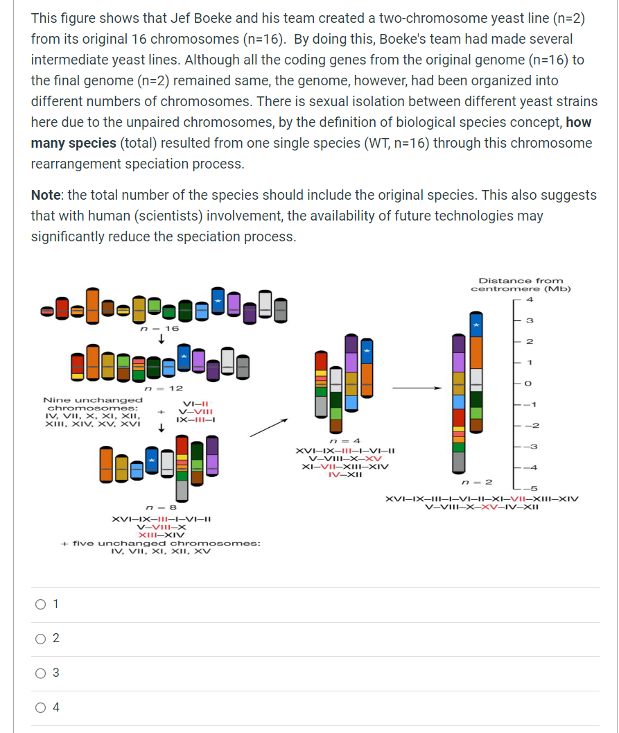 Solved This figure shows that Jef Boeke and his team created | Chegg.com