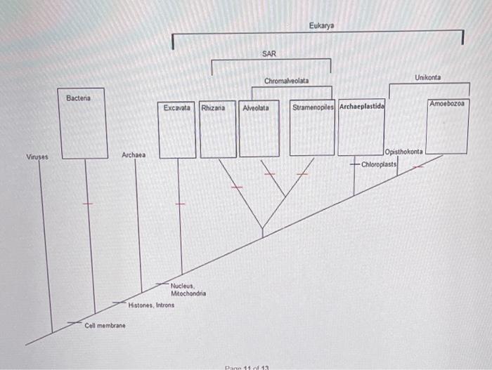 Assignment 3: Life on the Cellular Level (5 pts.) | Chegg.com