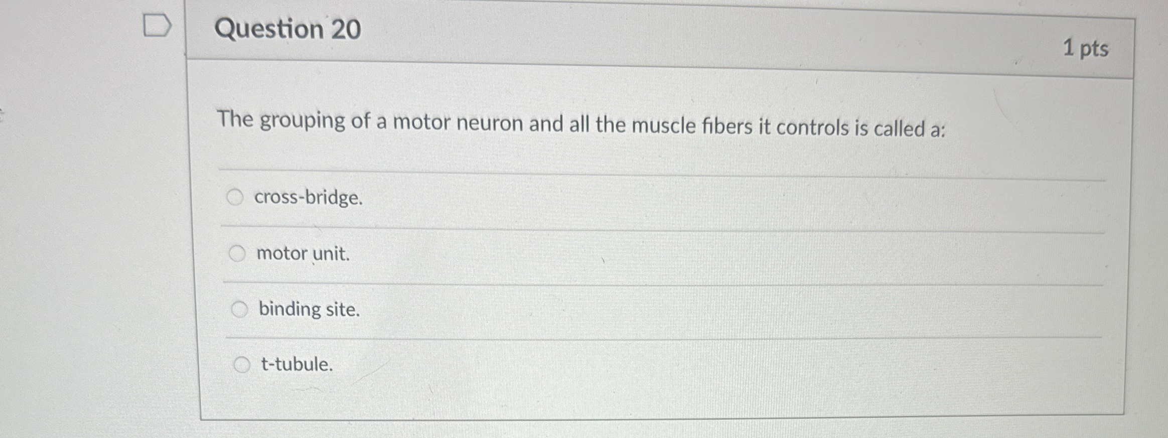 Solved Question 201 ﻿ptsThe grouping of a motor neuron and | Chegg.com
