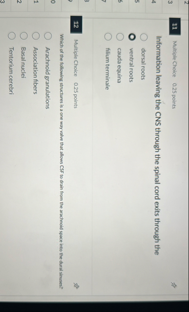 Solved 11Multiple Choice 0.25 ﻿points3Information leaving | Chegg.com