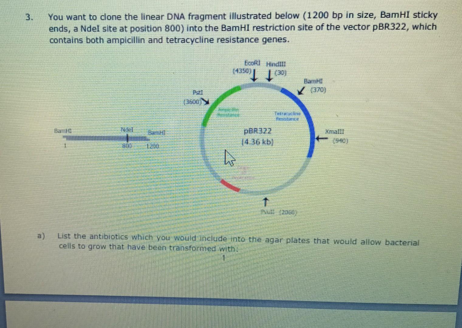 Solved a) b) C) BamH 1 1) 11) 1 / 3 Noel BamHI 809 | Chegg.com