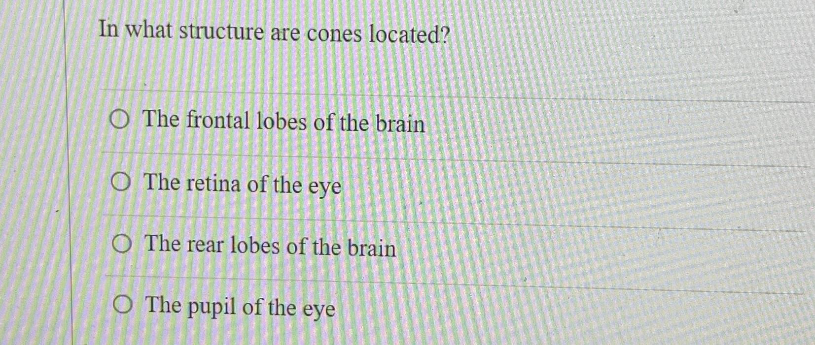 Solved In what structure are cones located?The frontal lobes | Chegg.com