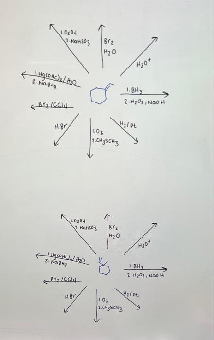 Solved Draw a structural formula for the major product of | Chegg.com