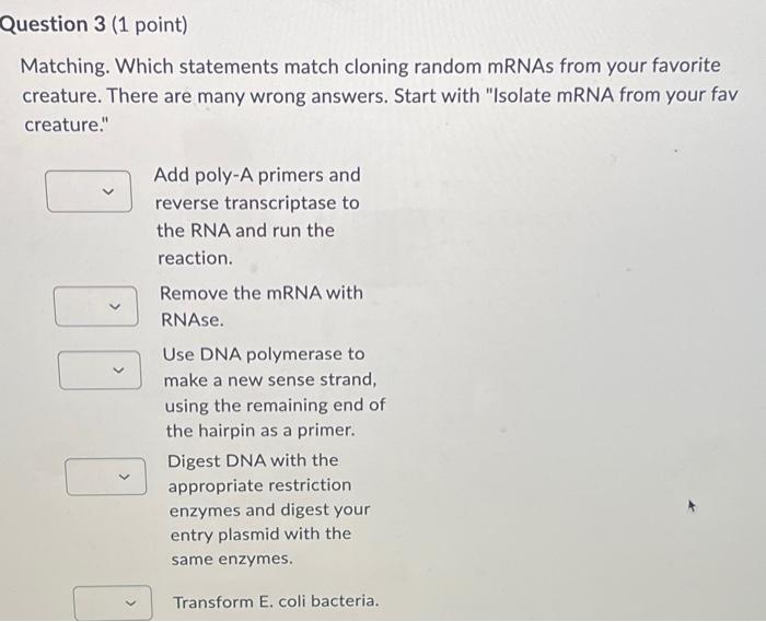 Solved Question 3 (1 point) Matching. Which statements match | Chegg.com