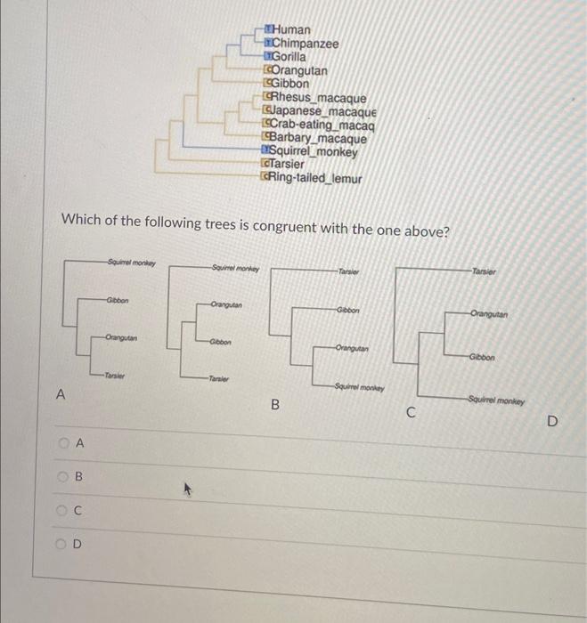 Solved Consider the following tree. Which of the following | Chegg.com