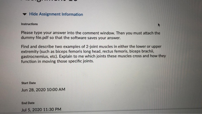 Solved Hide Assignment Information Instructions Please type | Chegg.com