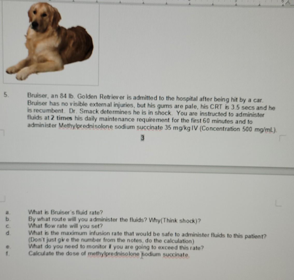 Solved this is for applied mathematics for veterinary | Chegg.com