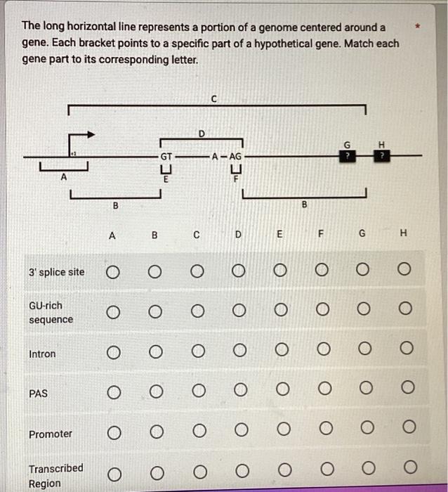 The long horizontal line represents a portion of a | Chegg.com