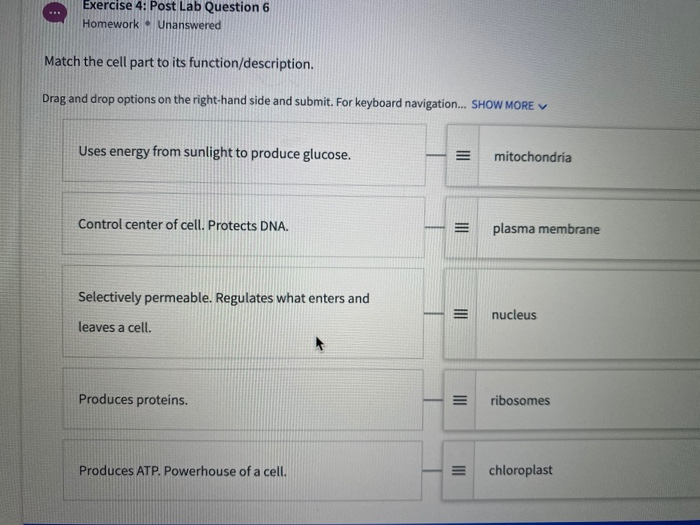 Solved Questi Exercise 4: Post Lab Question 1 Homework. | Chegg.com
