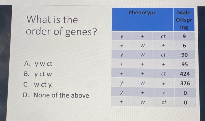 Solved Q15: X-linked genes in fruitfly y,w, and ct. Yellow | Chegg.com