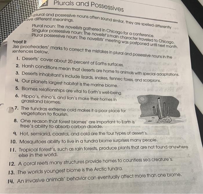 Solved Plurals and Possessives plural and possessive nouns | Chegg.com