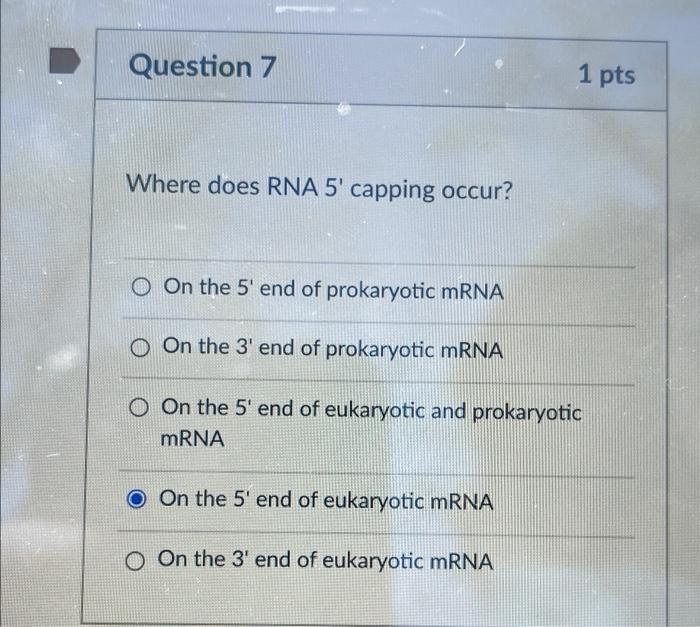 Solved Question 7 1 pts Where does RNA 5' capping occur? O | Chegg.com