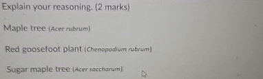 Solved Explain your reasoning. ( 2 ﻿marks)Maple tree (Acer | Chegg.com